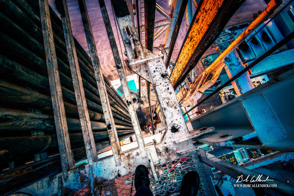 Standing Tall Artist: Bob Callender